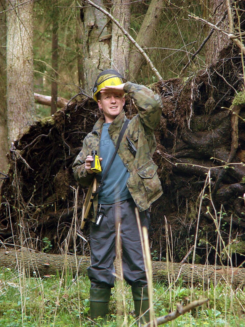 » Pierwsze spotkanie – Niedźwiedź w Puszczy Białowieskiej (relacja ...